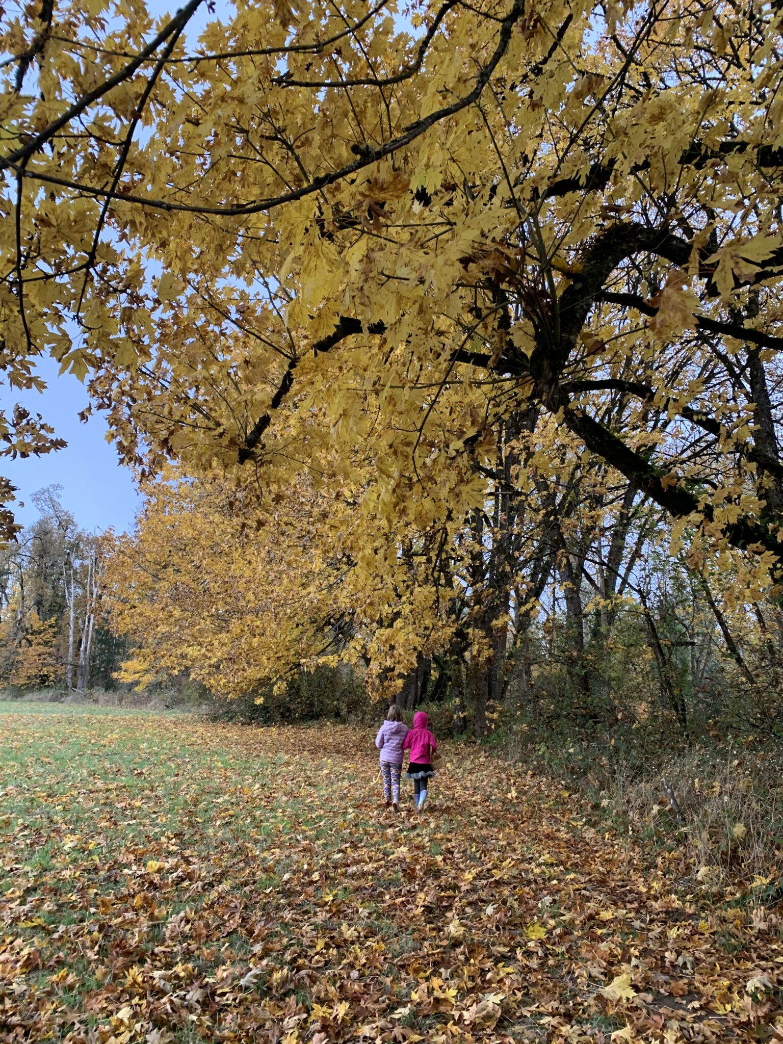 Events from September 16 – December 14 – Nearby Nature