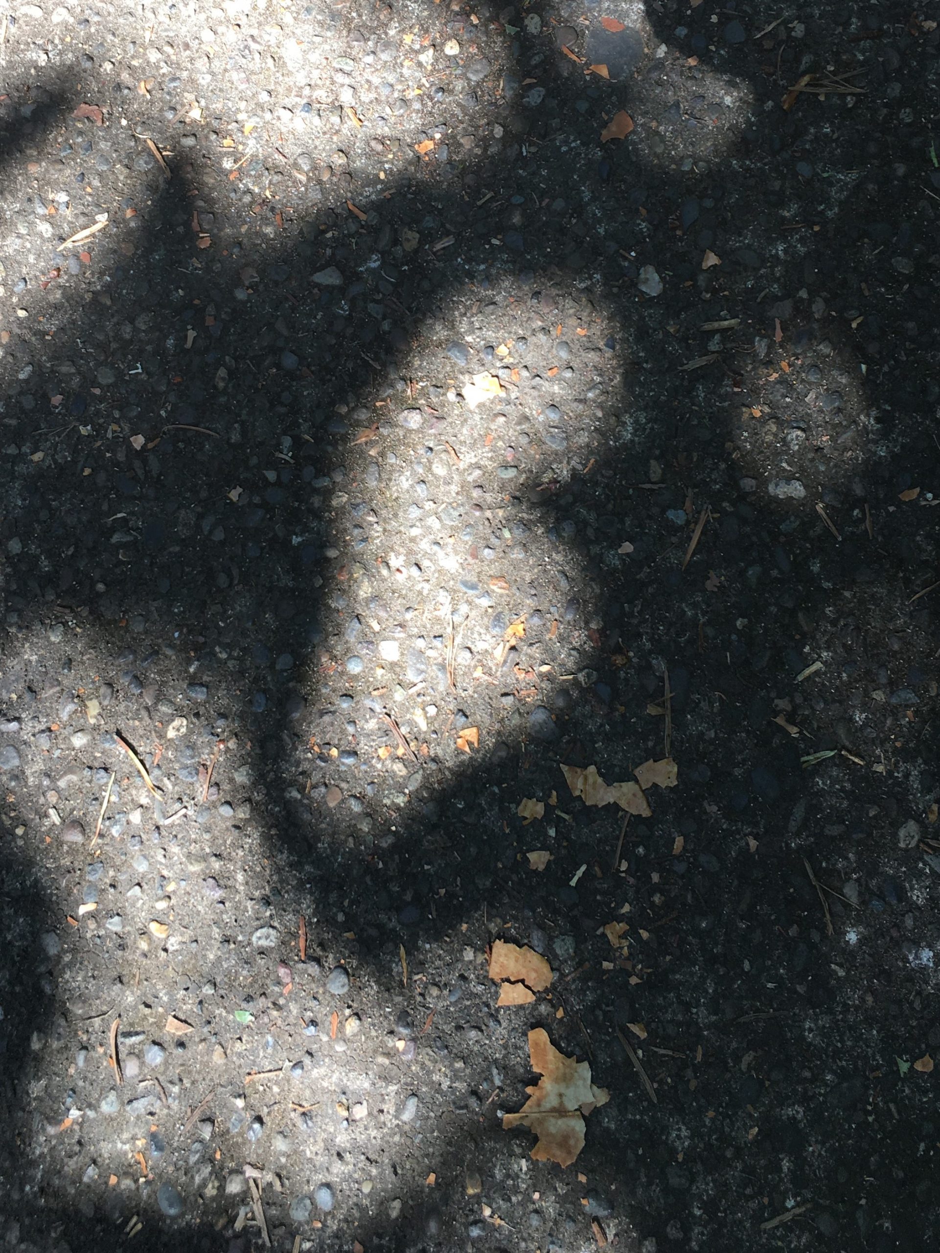 The ABCs of Nearby Nature – Nearby Nature